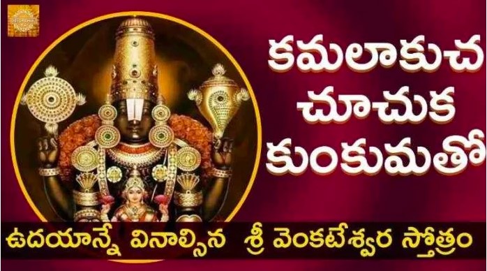 Sri Venkateswara Stotram Telugu "కమలాకుచ చూచుక కుంకమతో" Lyrics650